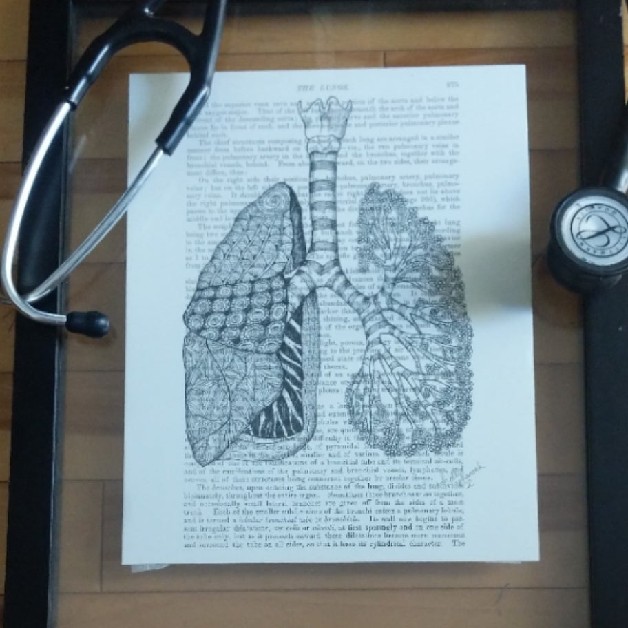 Anatomical Lungs on Gray's Anatomy | Ambicerebral