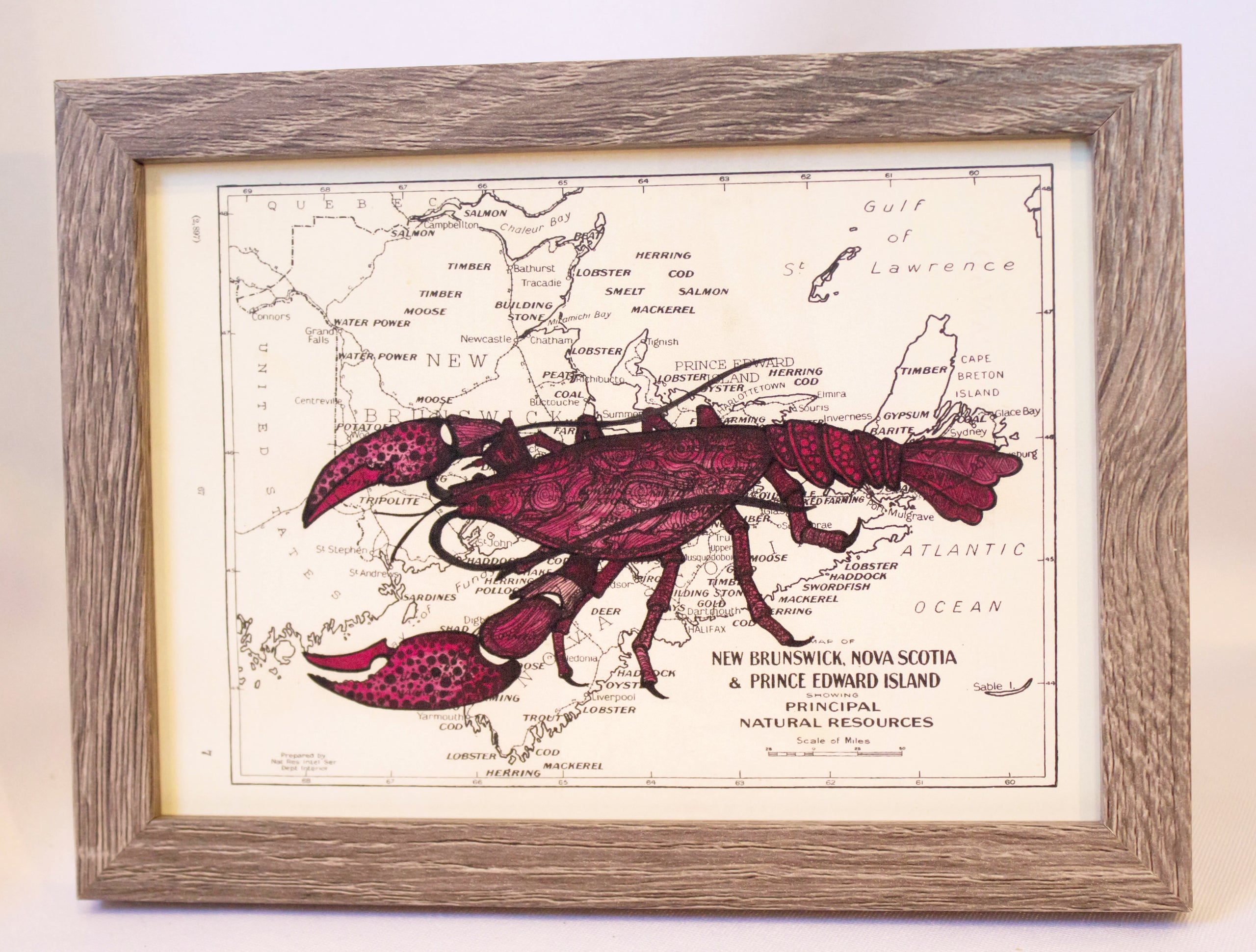 Lobster on map of the Maritime Provinces | Ambicerebral