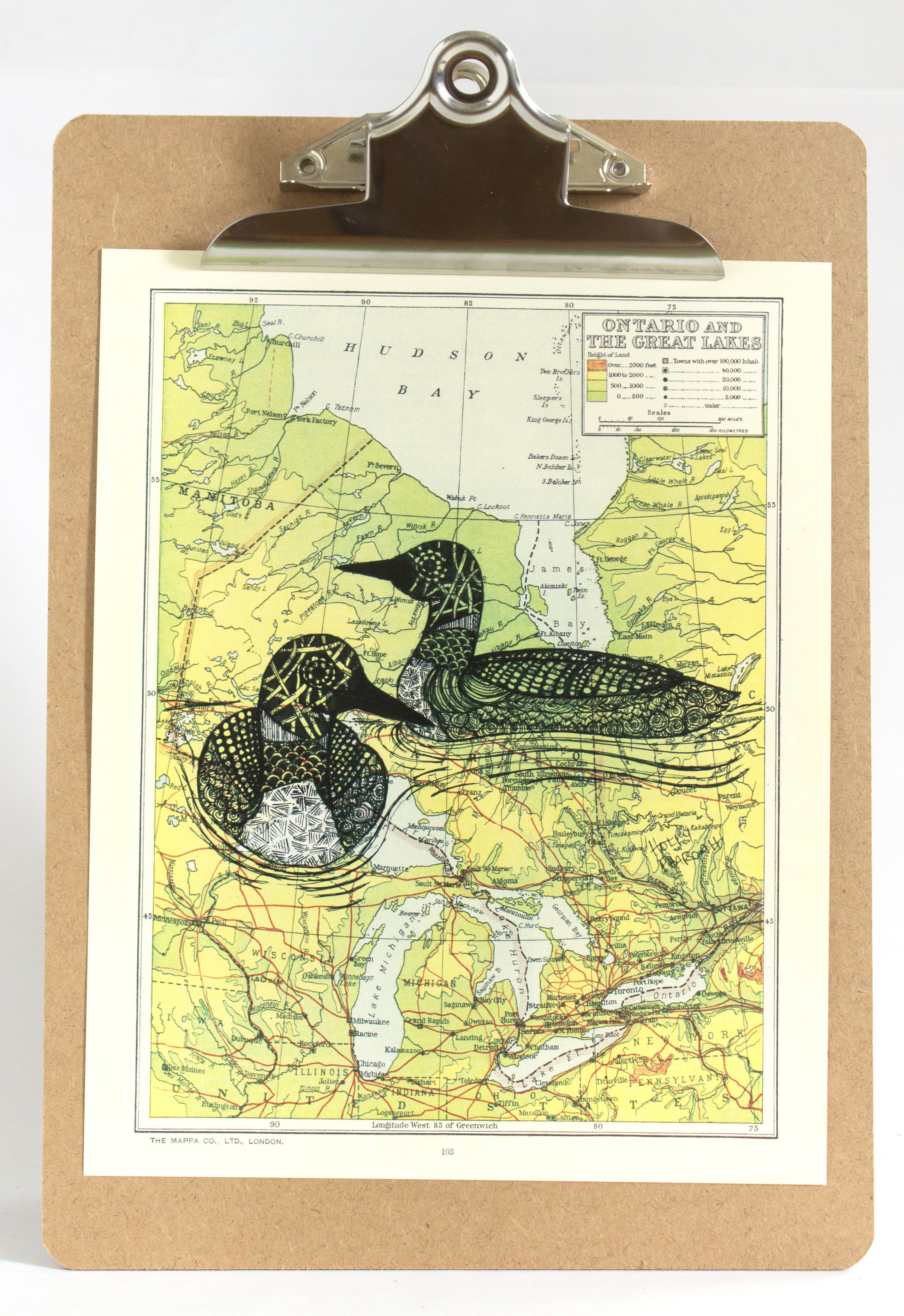 Loons on map of Ontario | Ambicerebral